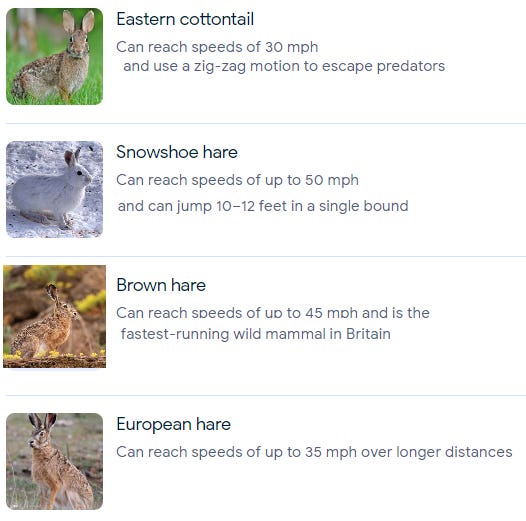 Friday Speedrun: January 19, 2024 - by Brent Donnelly