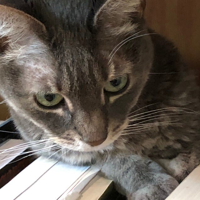 Mary Kate Jordan | Substack