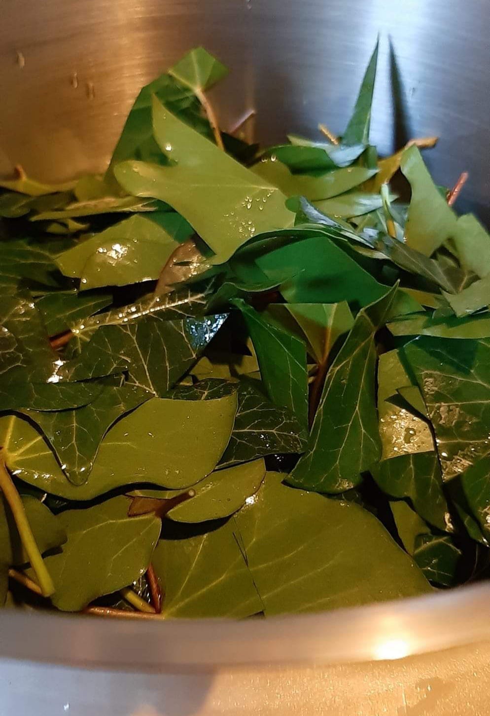 Making Ivy Leaf Laundry Soap - by Jacqueline Durban