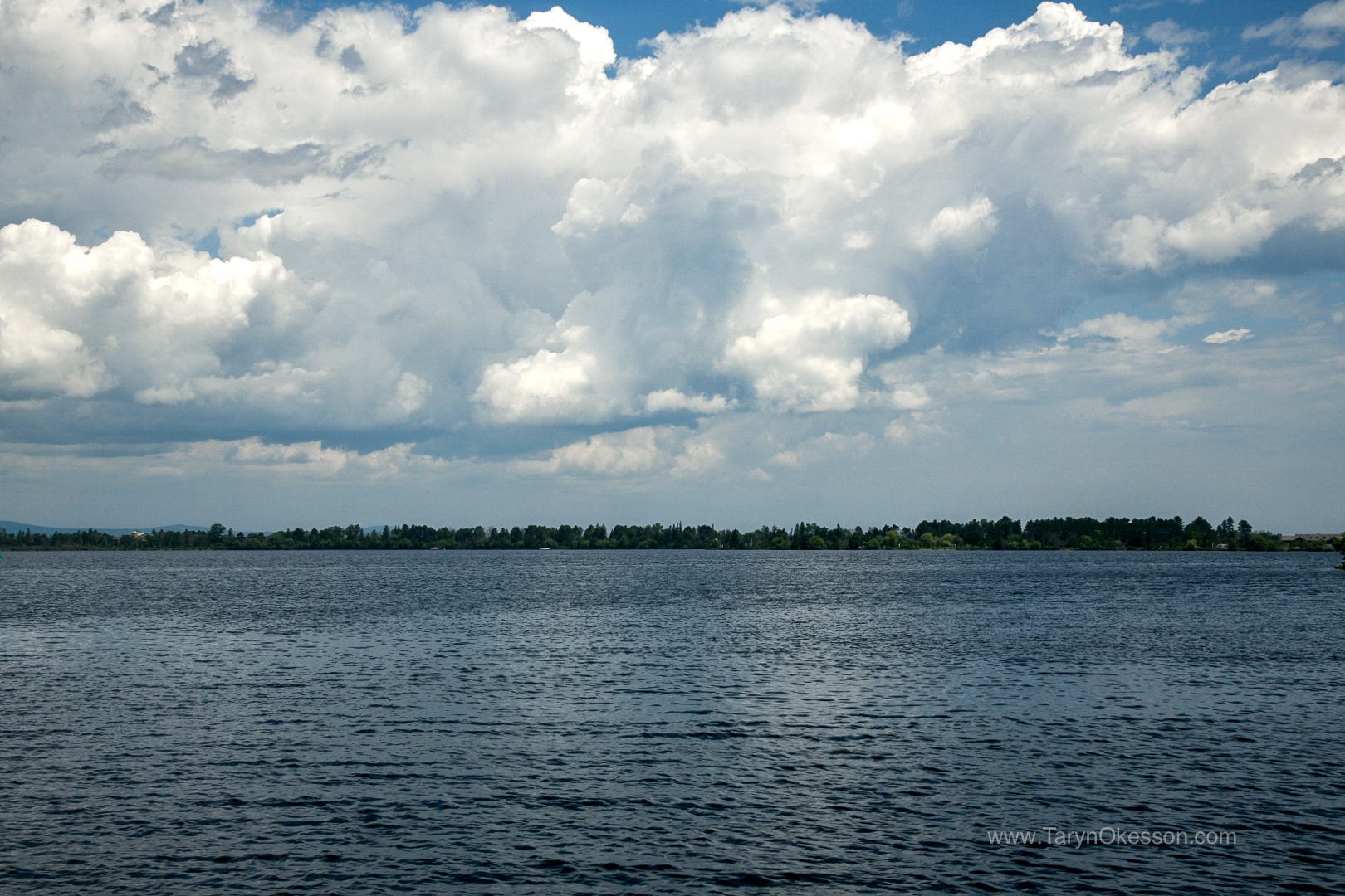 The Last Photographs - by Taryn Okesson