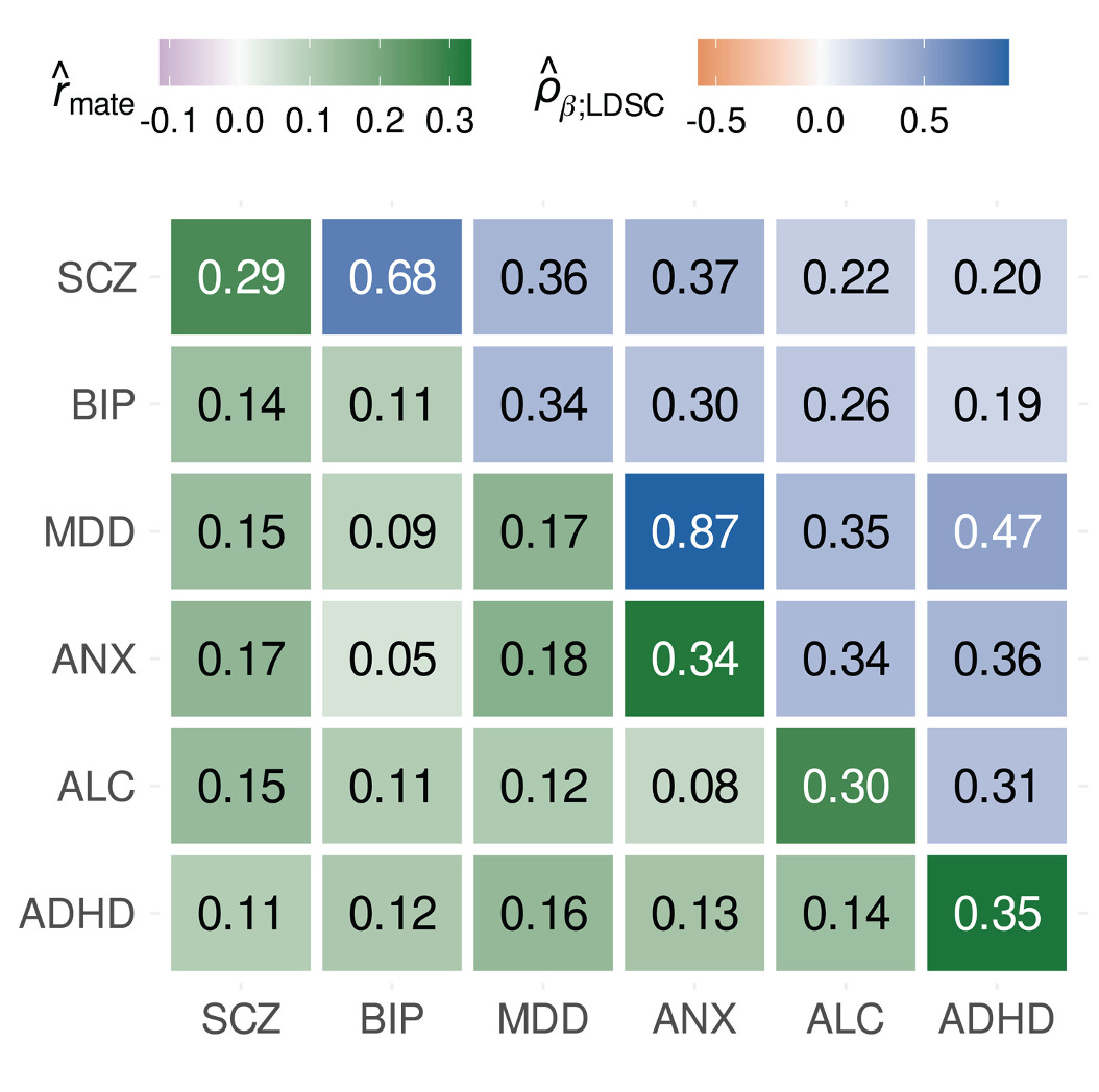 Book Review: Eric Turkheimer's "Understanding the Nature-Nurture Debate"