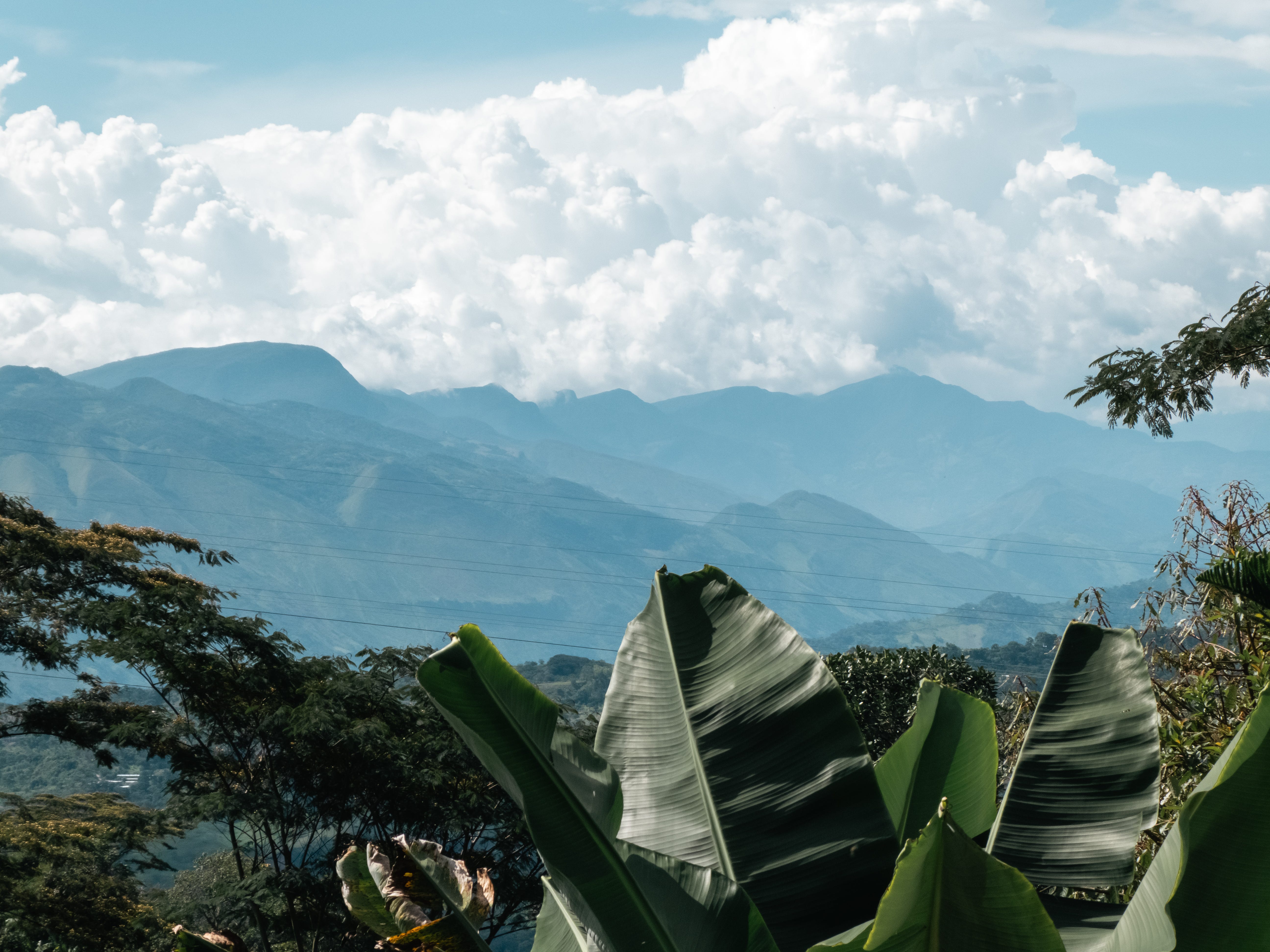 A Week Roaming Around Colombia - by Cleo Jensen