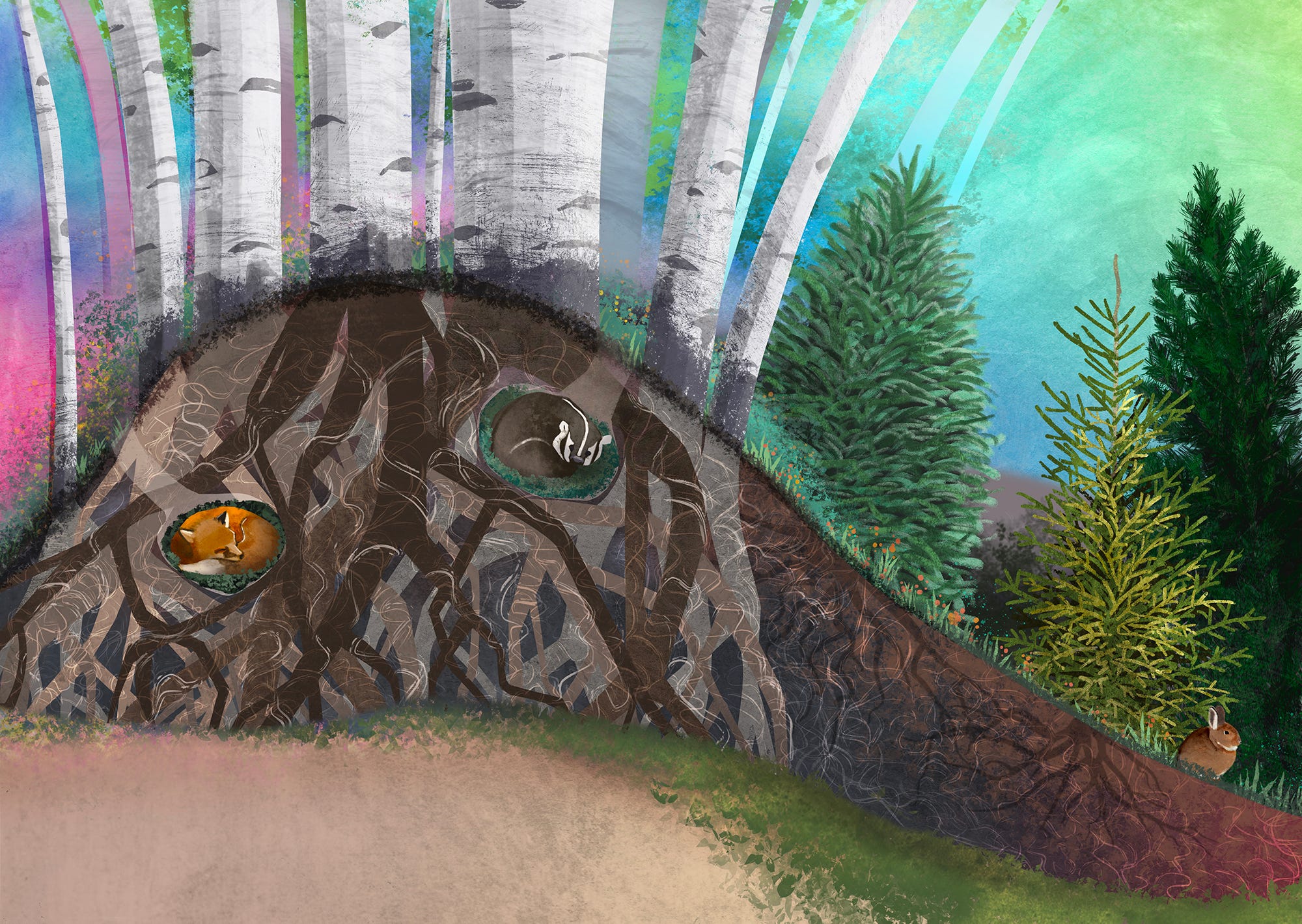 Six Different Perspectives for Illustrations in Children’s Book