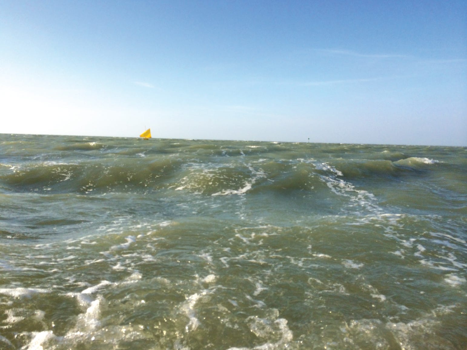 IT'S A HARD DUCK LIFE FOR US - by Joshua Colvin