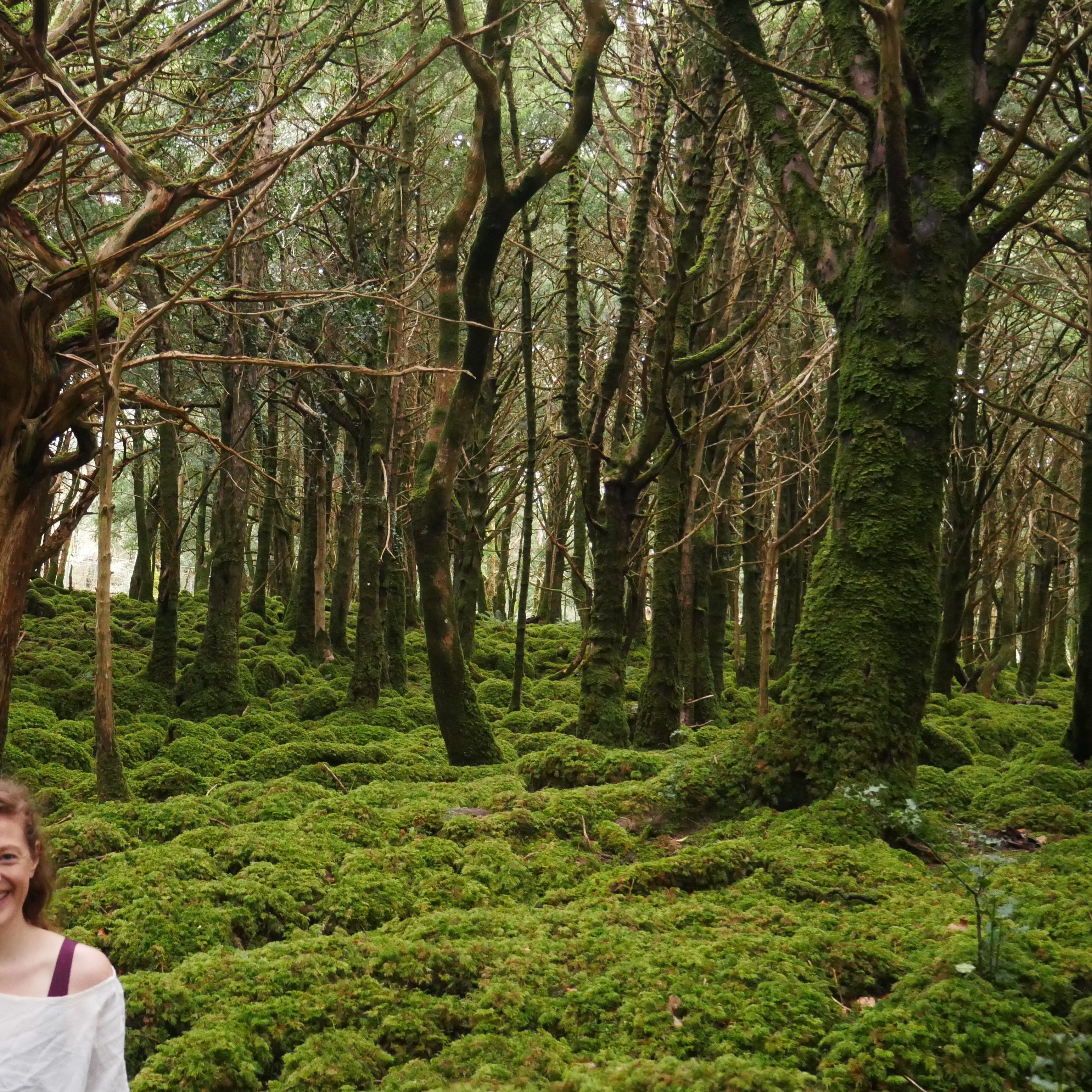 Rachel Rose Odhner, PhD | Substack