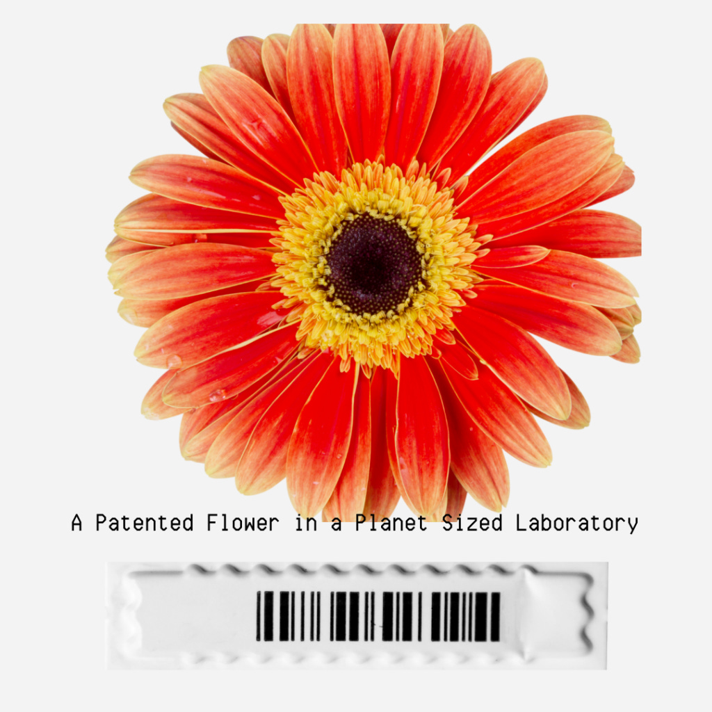 Patented Flower In a Planet Sized Laboratory