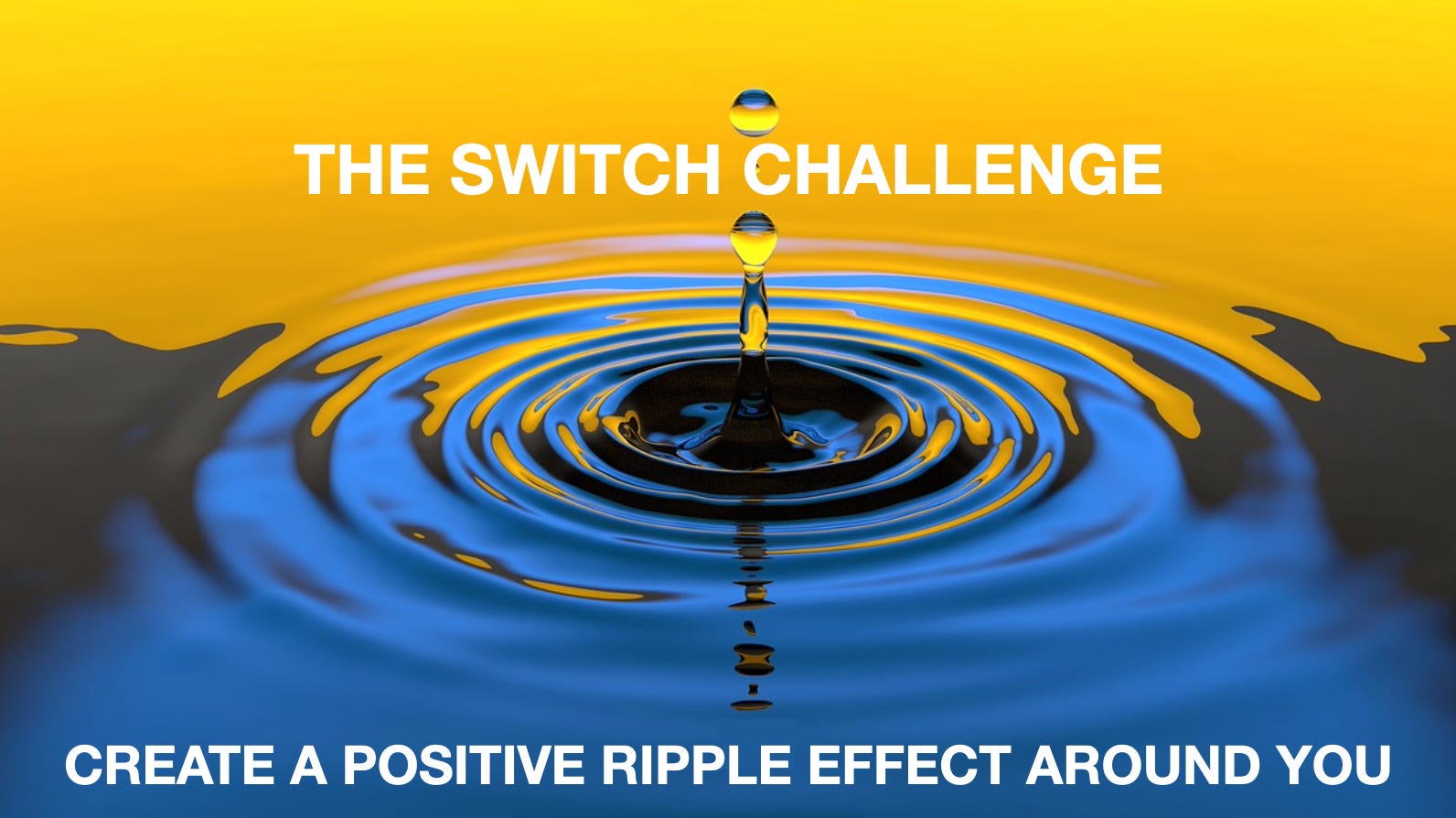 THE SWITCH CHALLENGE - by Abir Ballan, MPH
