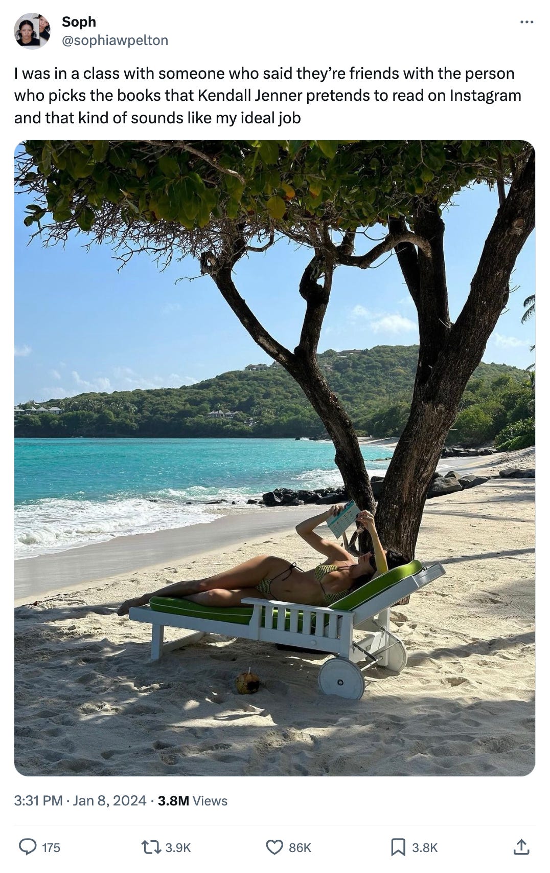 Weekend Theorys No. 3 - by Anu Atluru - Working Theorys