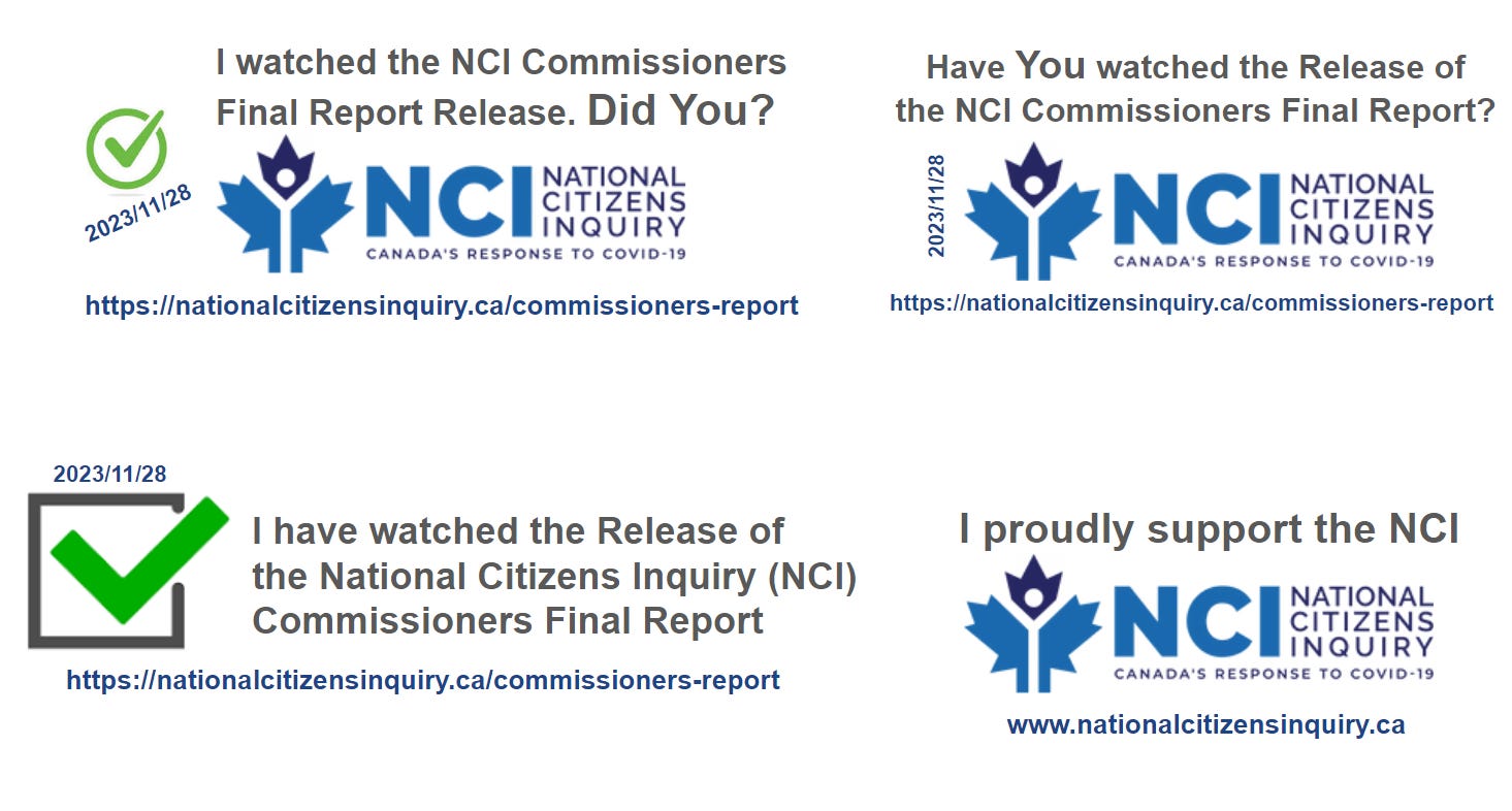 The National Citizens Inquiry Commissioners Final Report RELEASED. It's ...