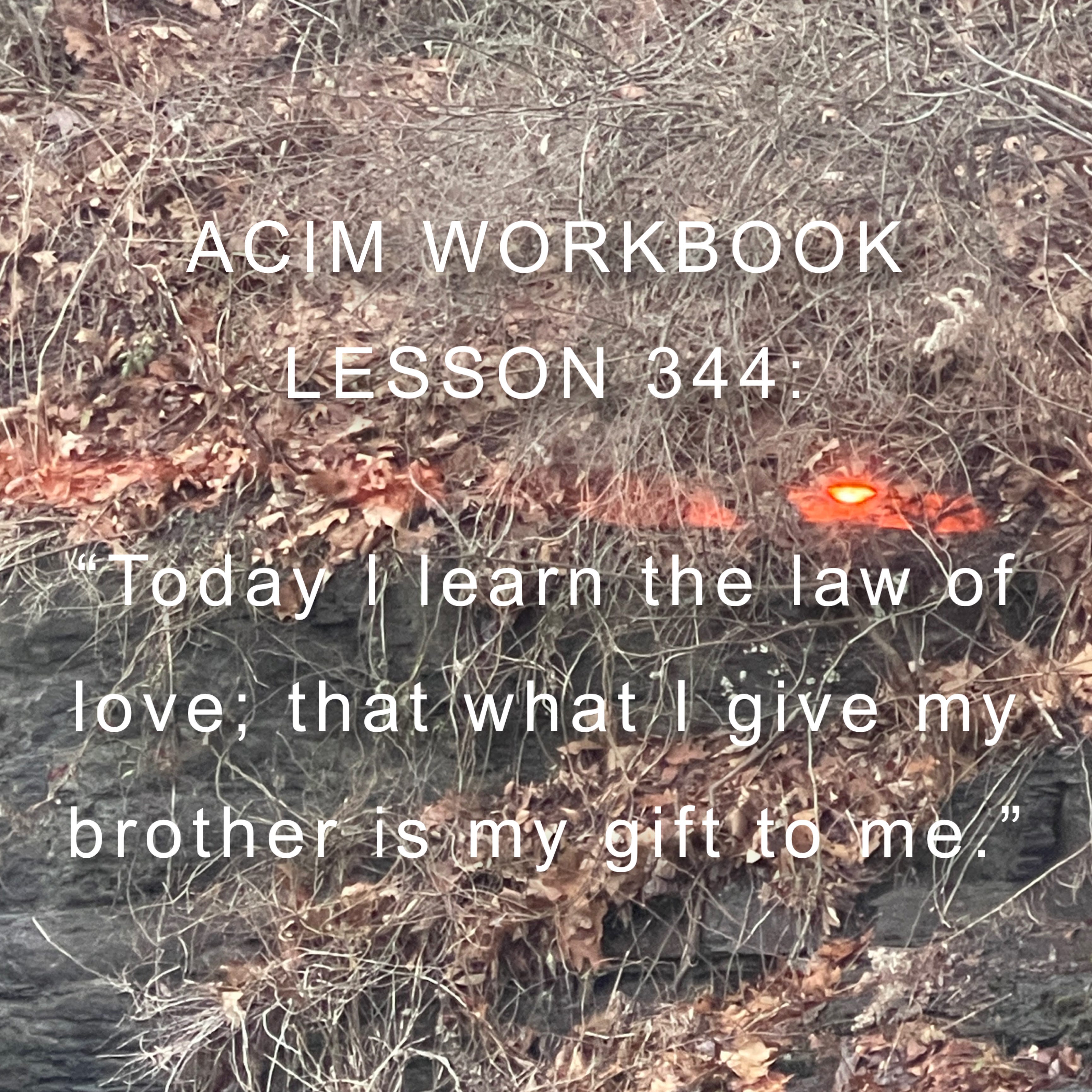 Lesson 344 - by Lorraine Stewart