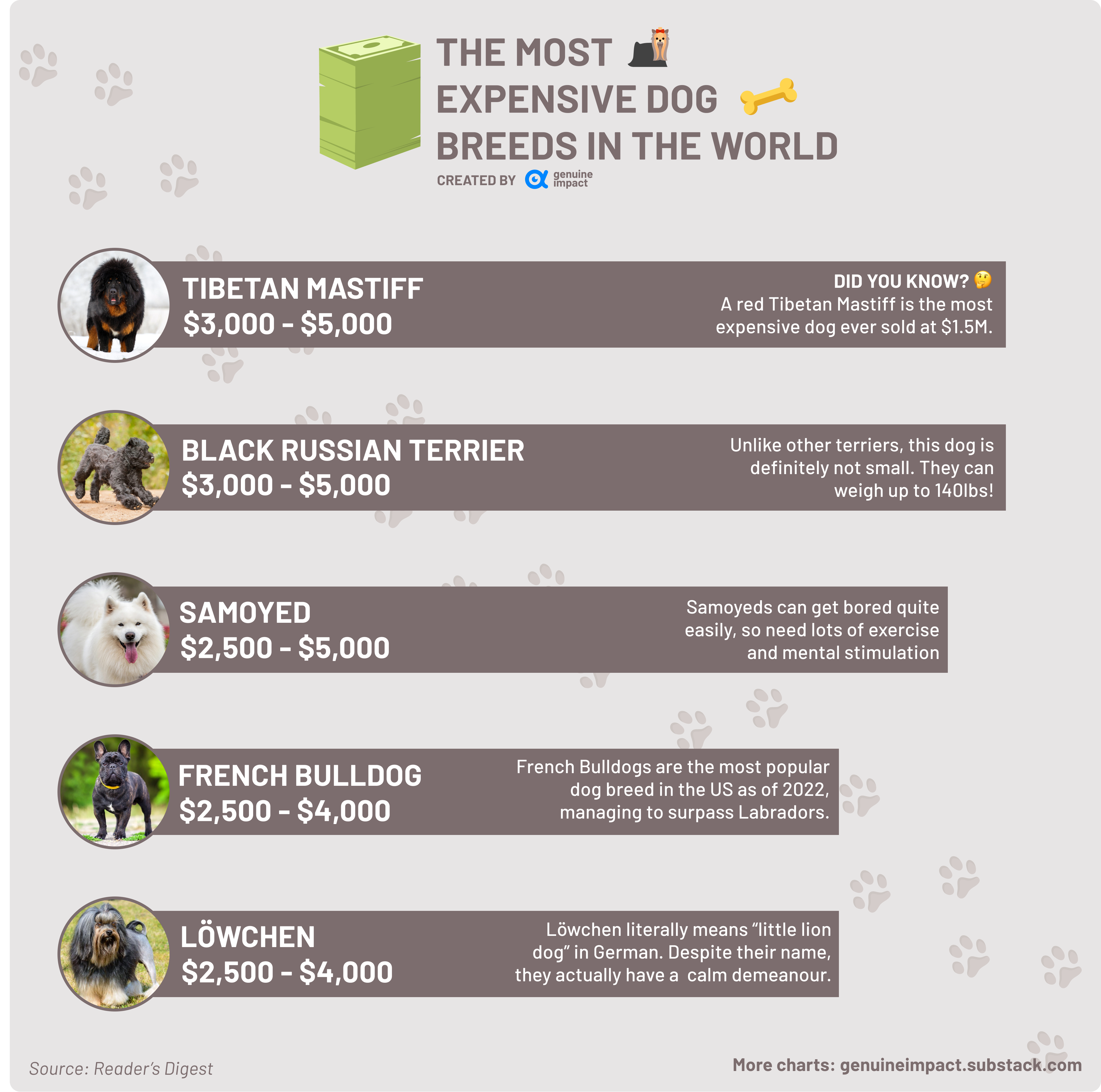 Paw-some pet charts 🐱🐶 - by Amara