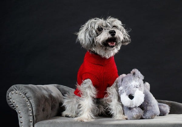 Allivet is repeating the reason Walmart PetRx failed