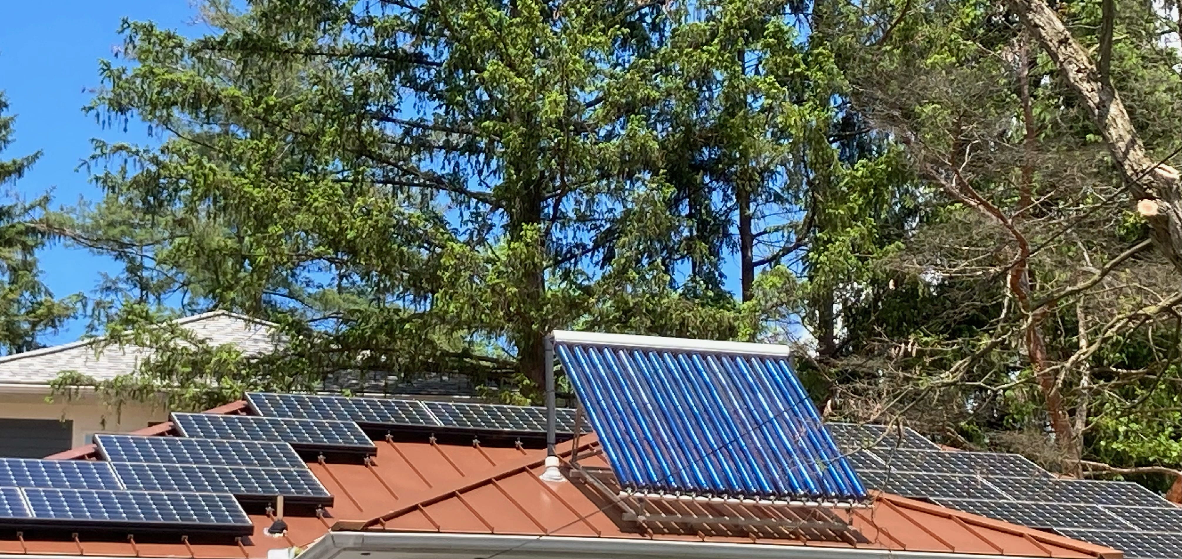 Little grey cells – by Scott Marsland, FNP-C - Dr. Pierre Kory