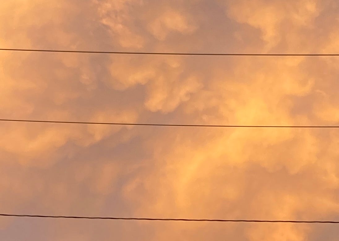 Why My Substack is Named Power Lines - by Lorrie Tom