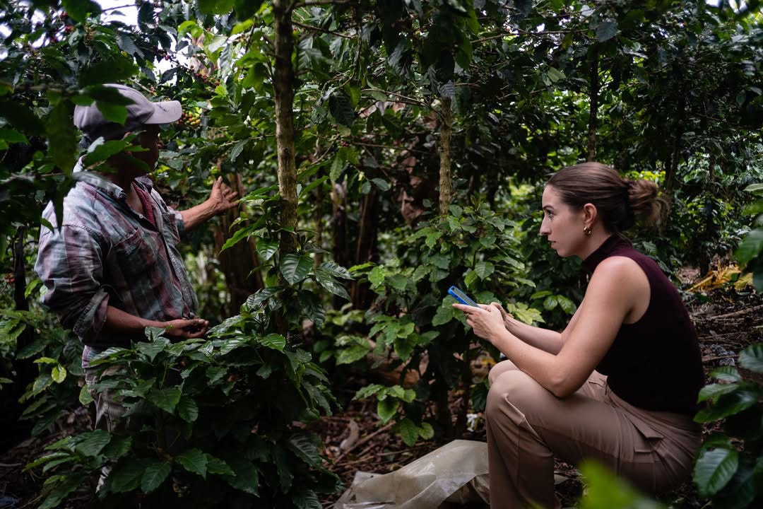 8 English-language journalists, content creators and websites in Medellin
