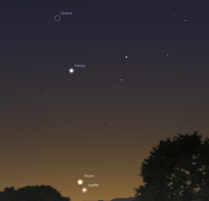 #43: - Whale of a Border Crossing - Ice on Mars' Equator - & 4 More Stories