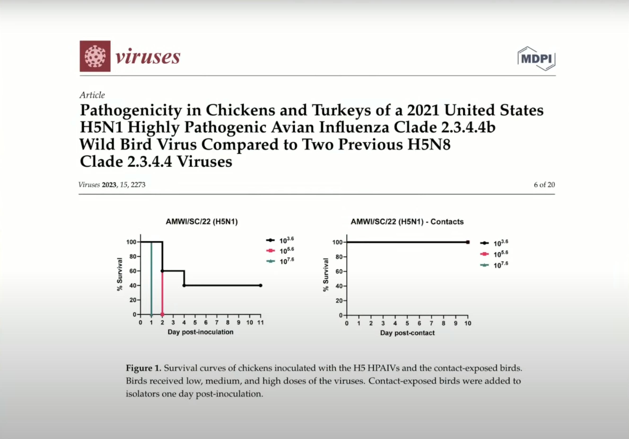Government-Run Indiscriminate Mass Animal Depopulation for H5N1 Bird ...