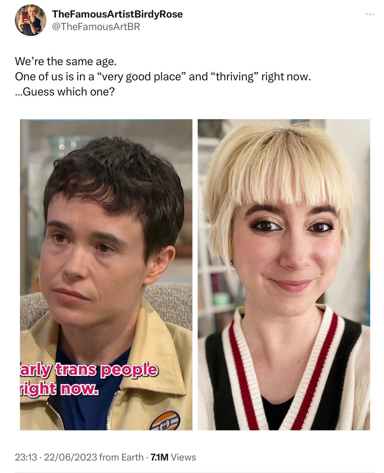 The Stroop Effect Of Ellen Page