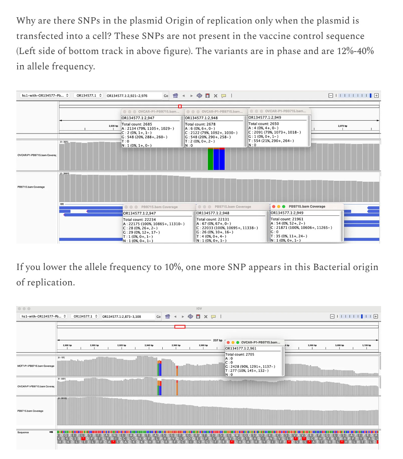 Plasmid DNA replication in BNT162b2 vaccinated cell lines