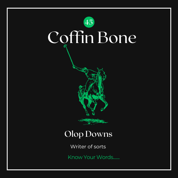 Coffin Bone - Olop Downs Substack