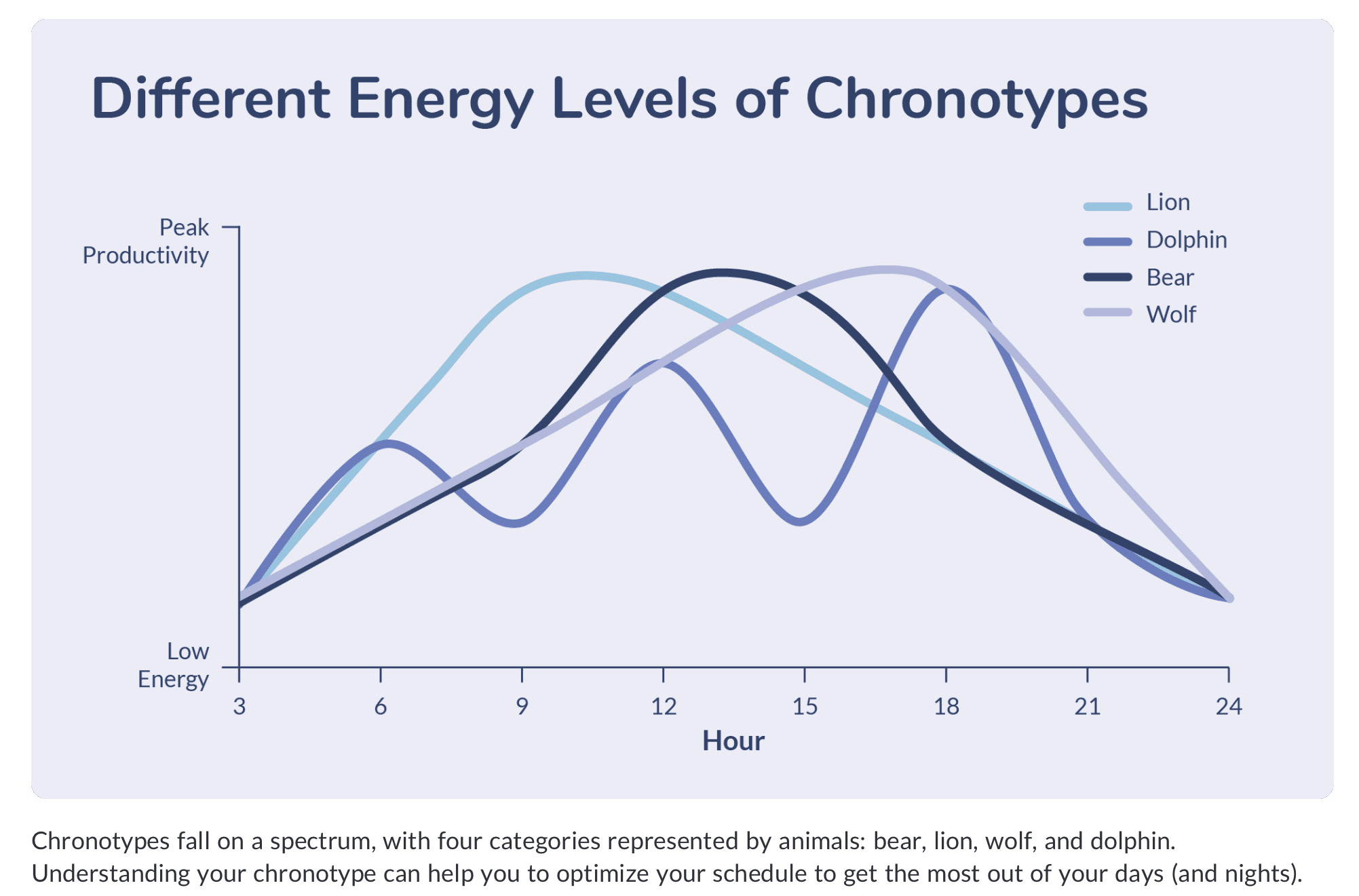 Chronotype vs circadian rhythm - by Nikko Kennedy