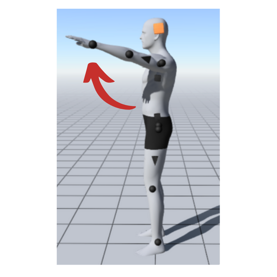 Understanding shoulder flexion in handstands