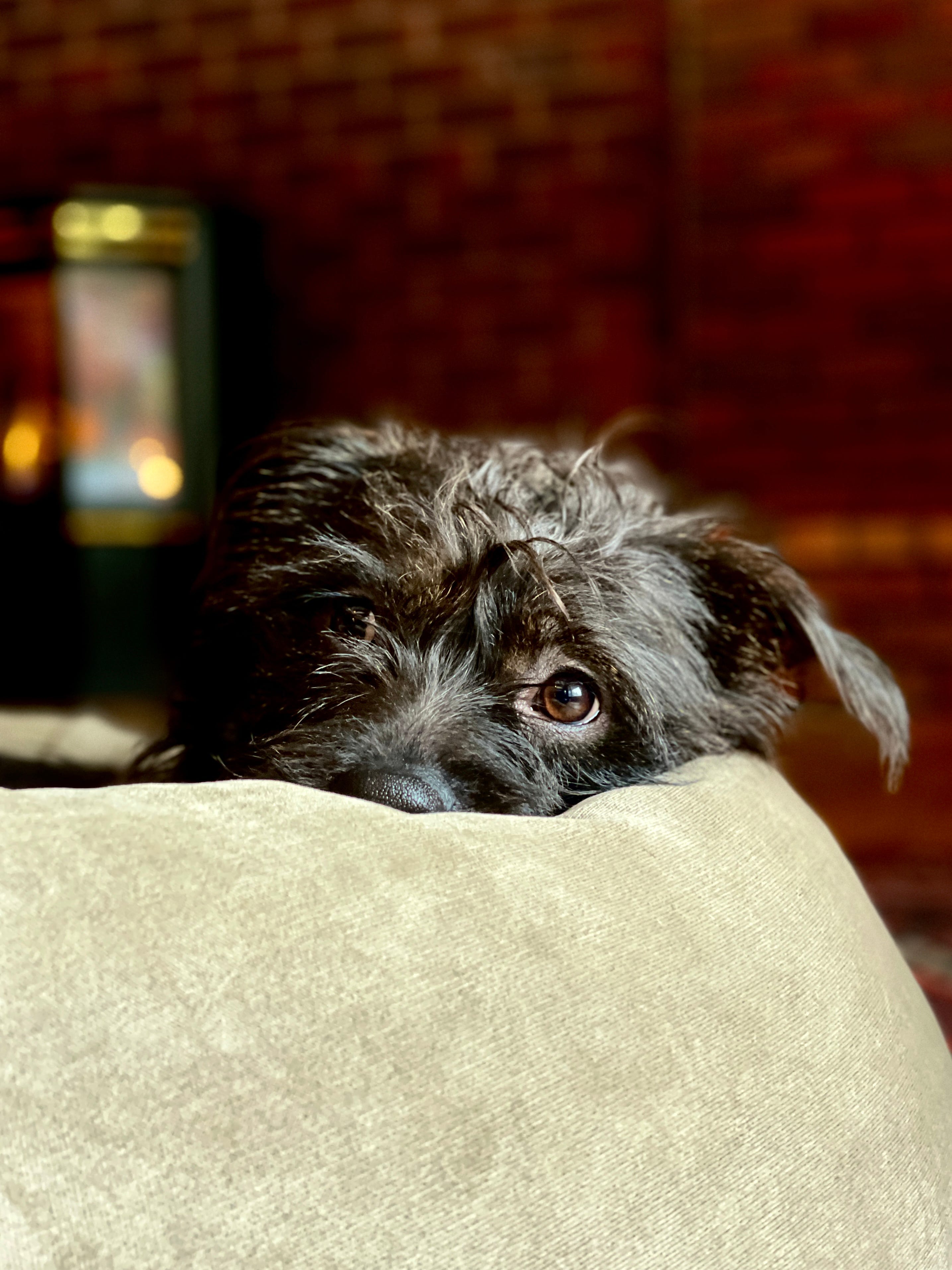 {Embracing Chosen Bonds} - by Jase Cannon - Jase’s Substack