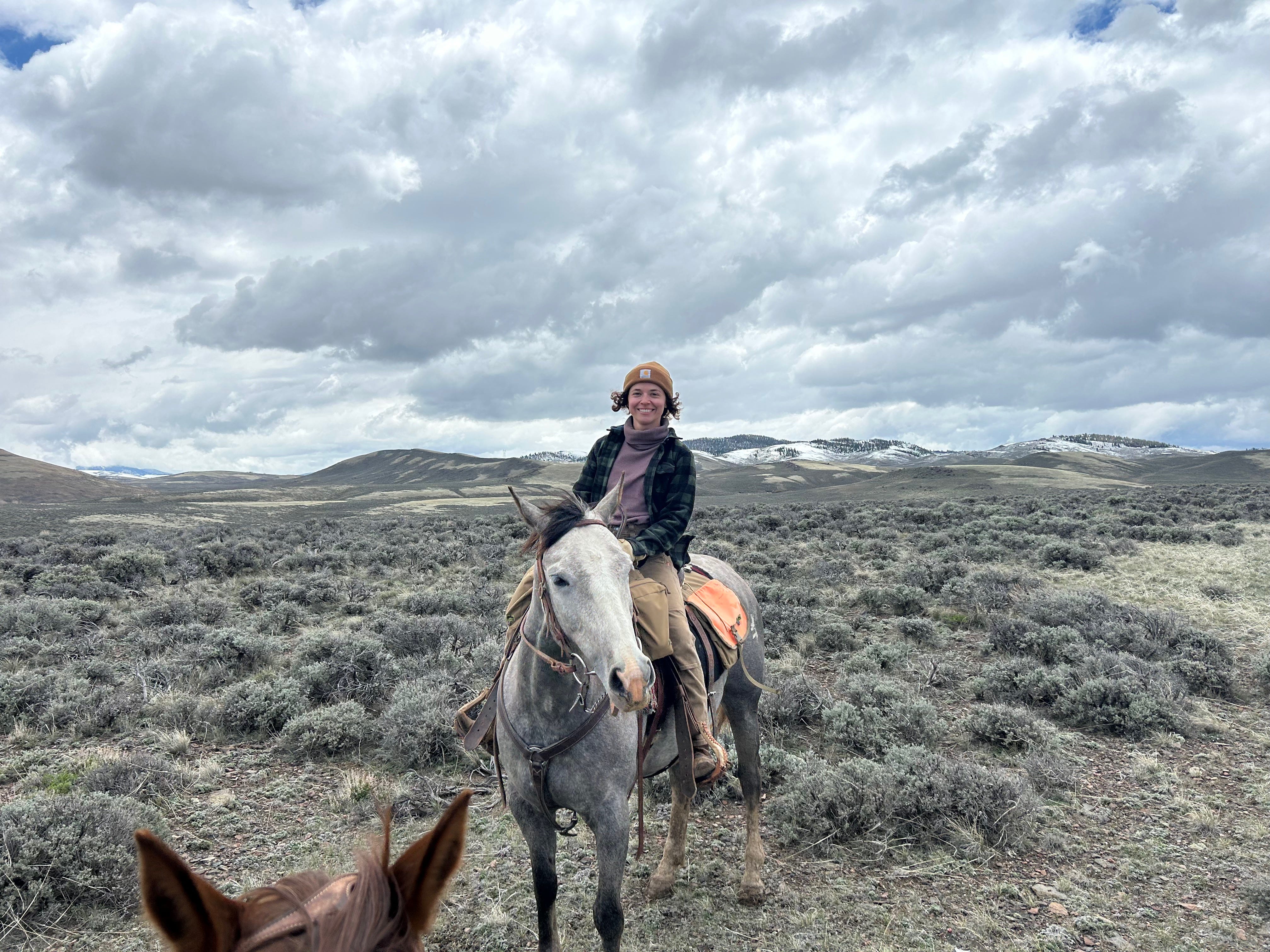 Handshake - by Gabriela Zaldumbide - Part-Time Cowgirl