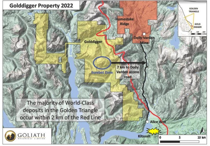 Goliath Resources Is On A Path To Finding A Multi Million Ounce Gold ...