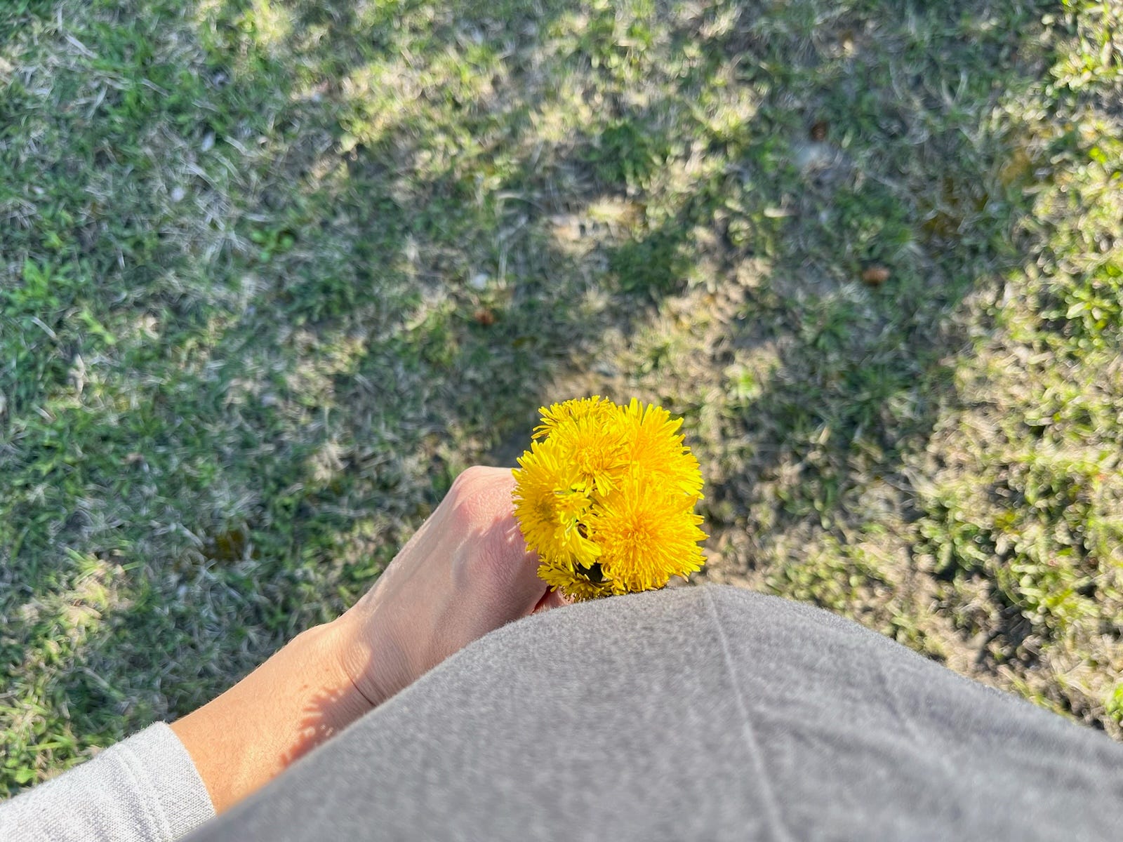 Plan & Perspective - by Laura Bunn - Laura’s Substack