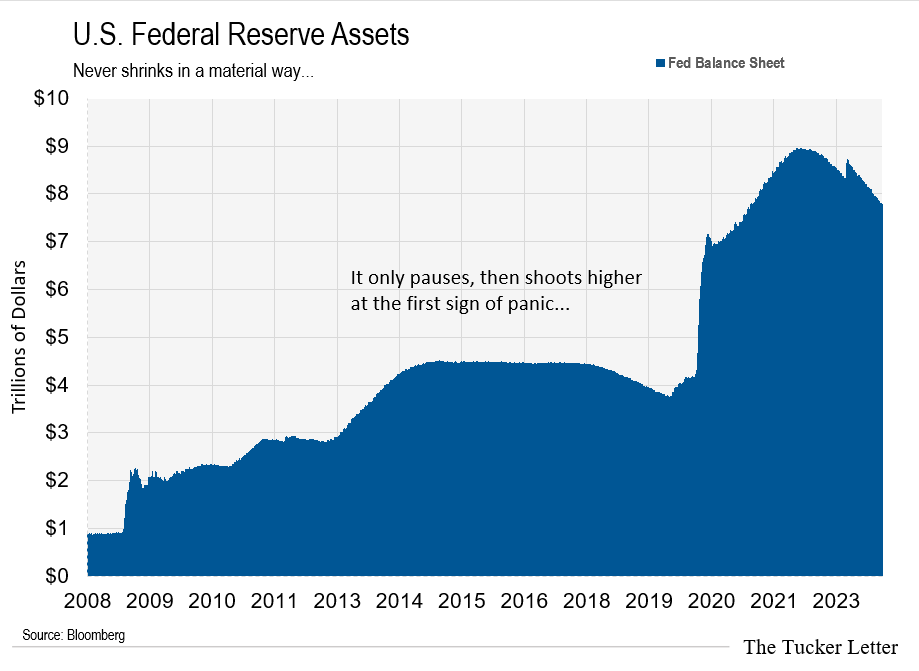 Dizzy Bat - by E.B. Tucker - The Tucker Letter
