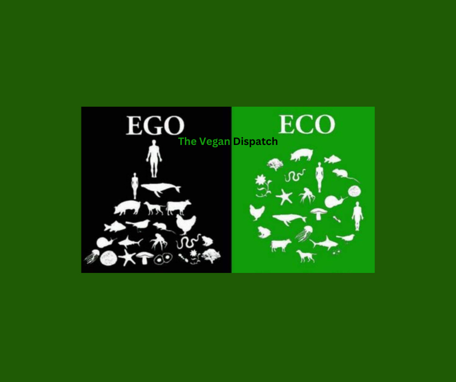 Our Favorite Memes: Ego vs Eco - by Michael Corthell