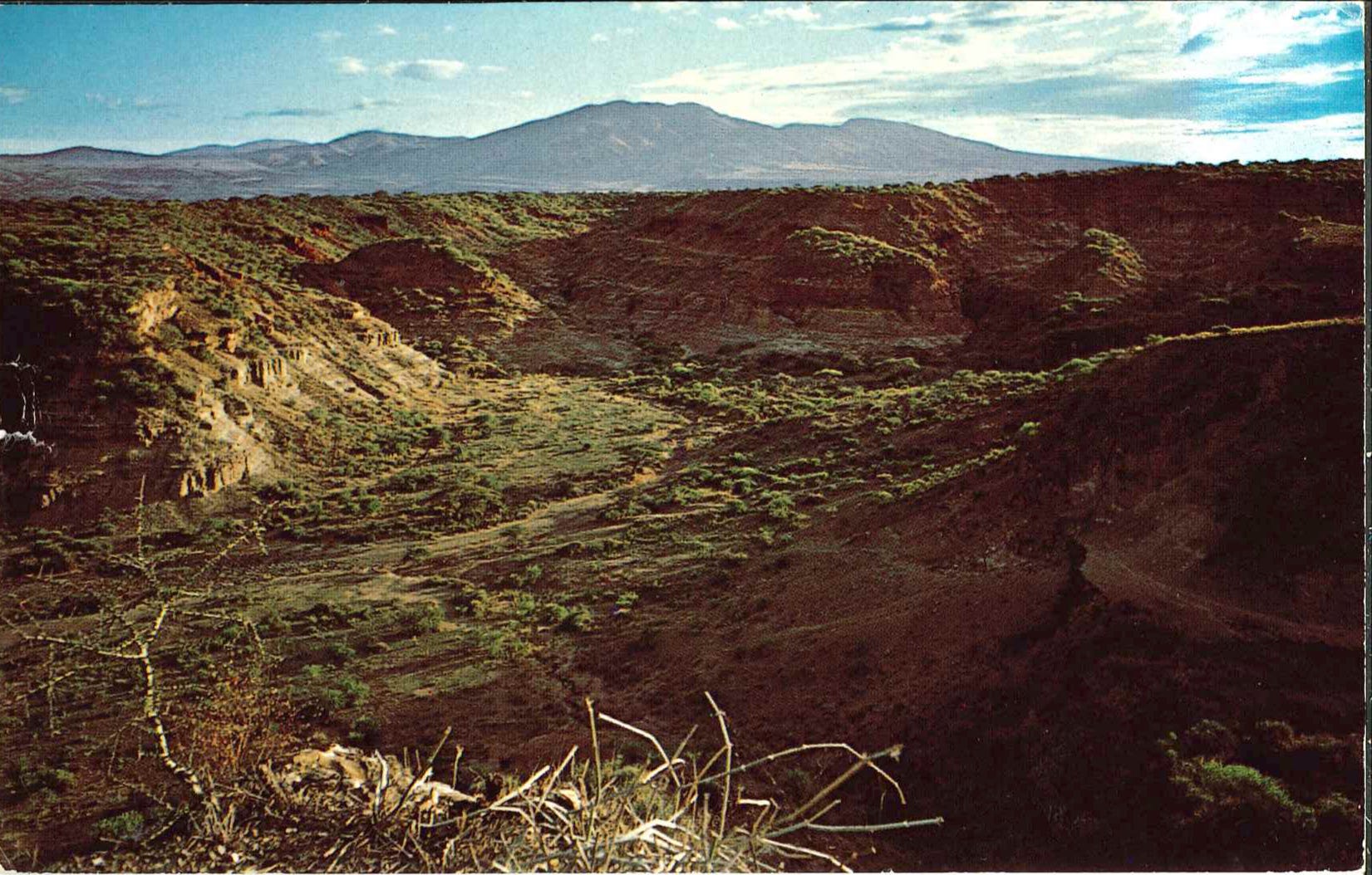 Kenya in the 1960s - by Stephan Sander-Faes