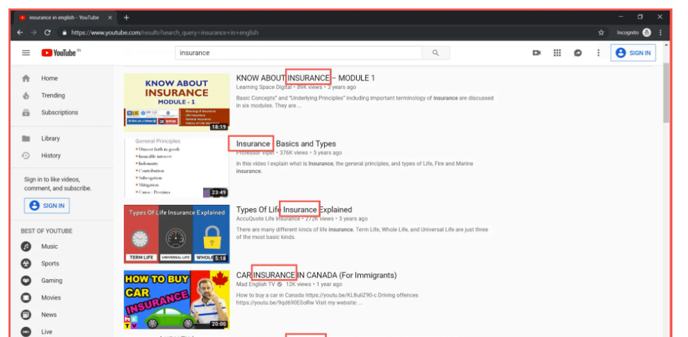 The YouTube Channel Blueprint - by Mike Winnet