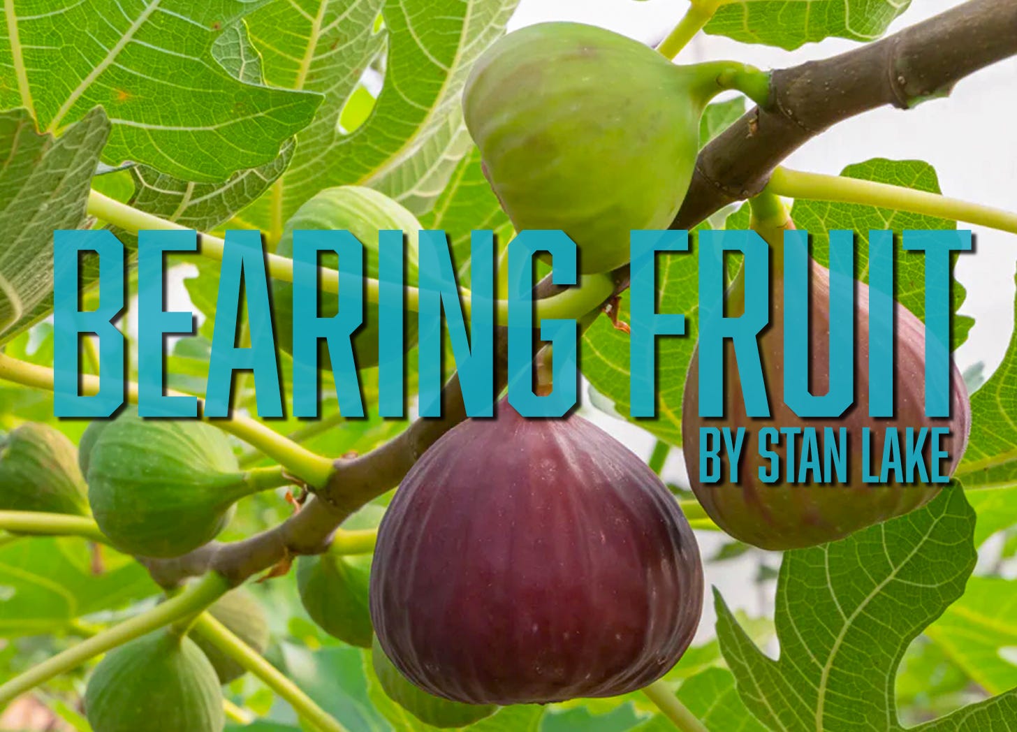 Bearing Fruit - by Stan Lake - Dissonance Personified