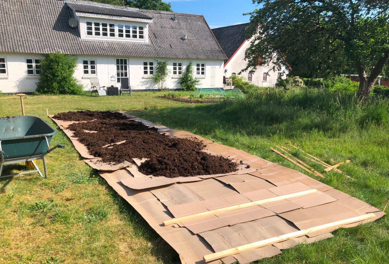 #5 Gravefrit bed nummer 2 - by Flemming Blicher