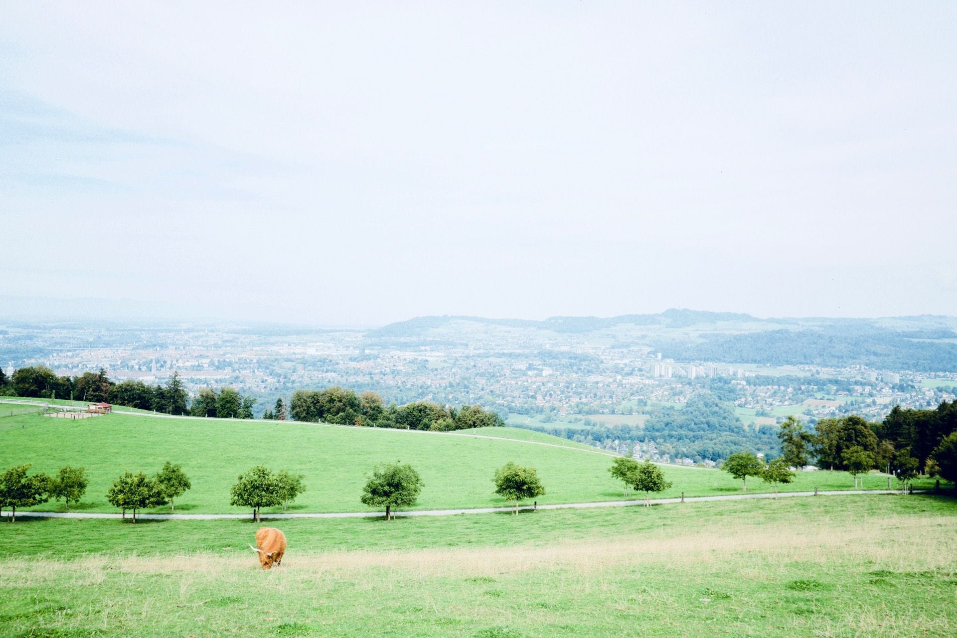 What to do on a Sunday in Switzerland
