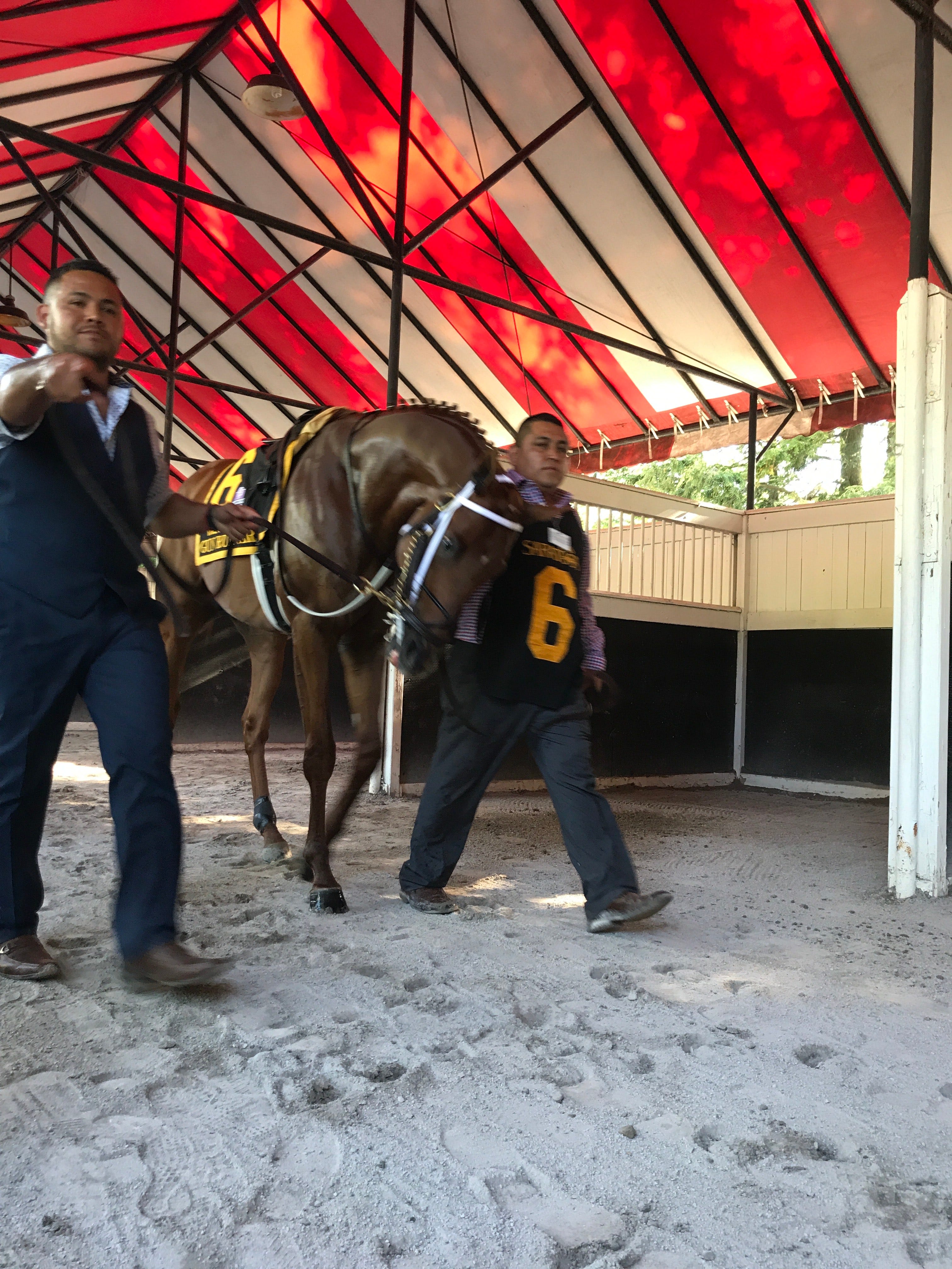 Saratoga Stack 8.5.23 - by Mut (Mike Mutnansky) - MutStack