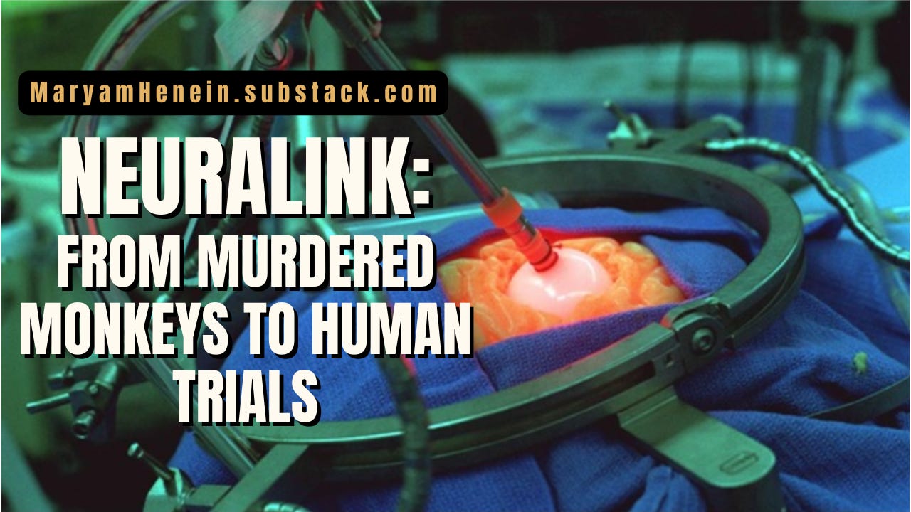 HoneyColony: NEURALINK: From Murdered Monkeys To Human Trials | Milled