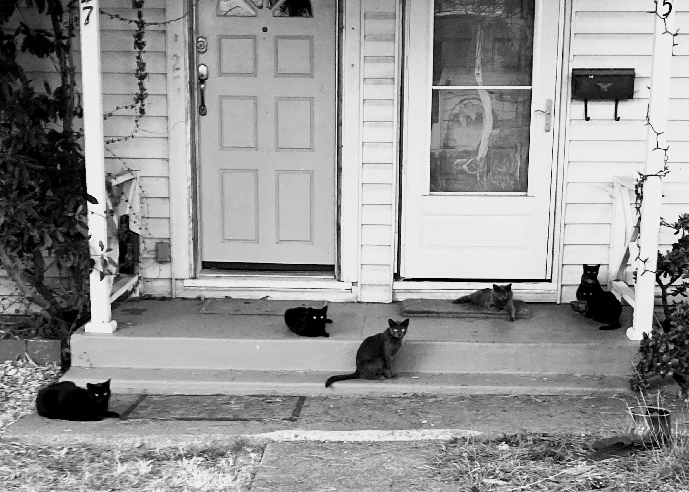 Socialists Used To Talk About The Constitution