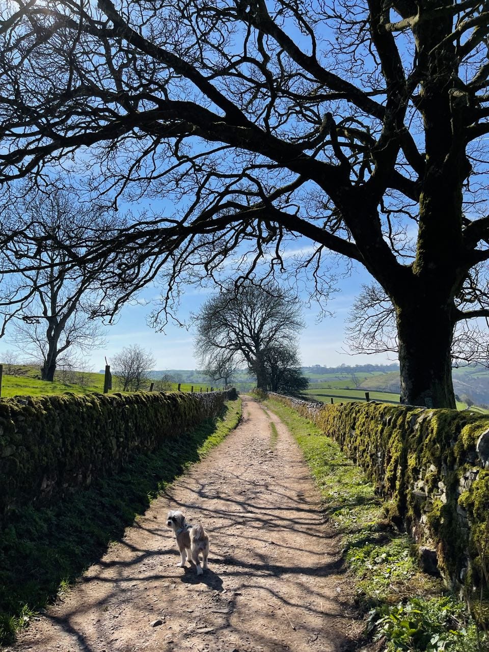 Thor's Cave Pilgrimage Part 1 - by Amanda Claire Vesty