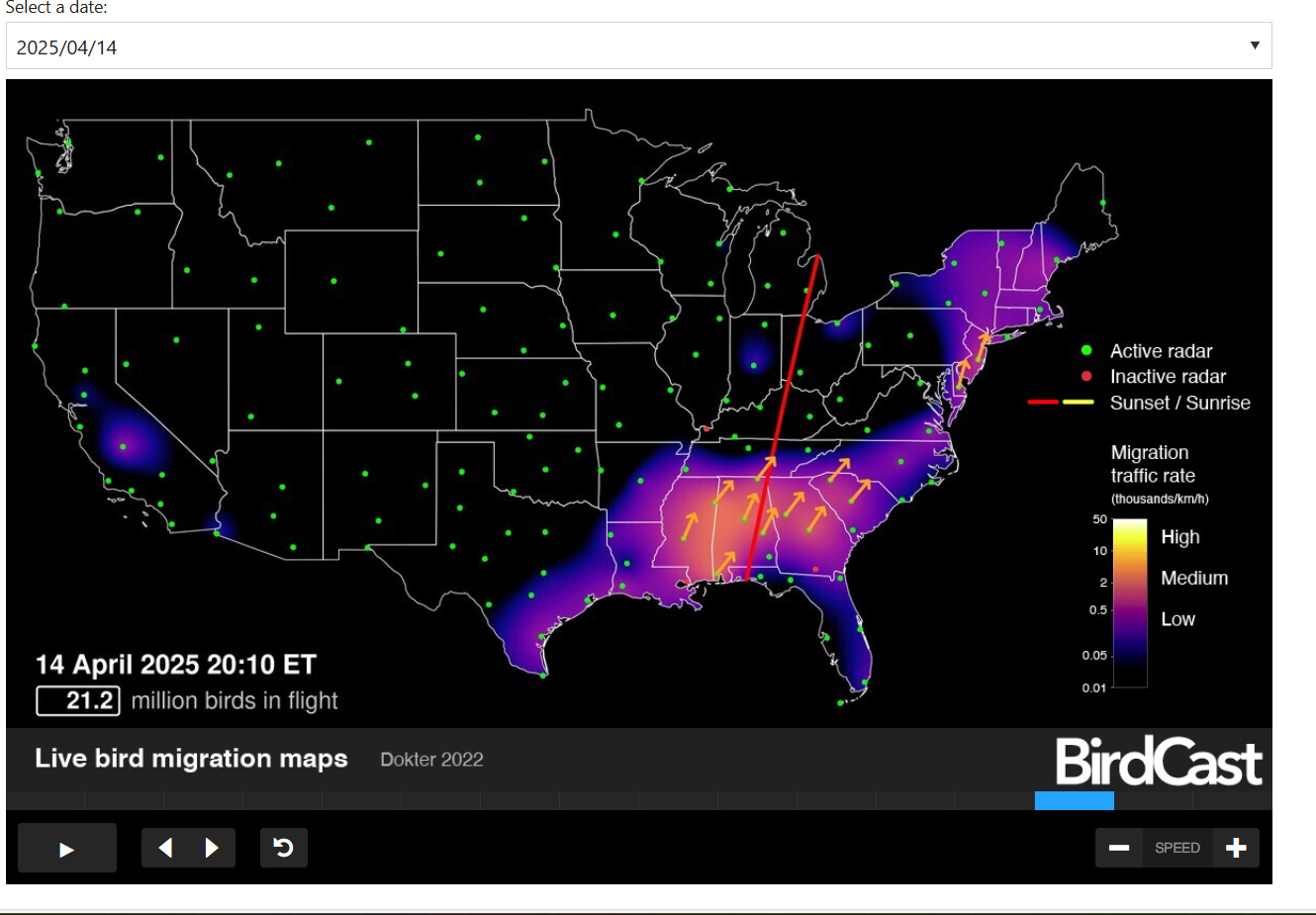 Why do birds Migrate? - by Caleb Shingleton