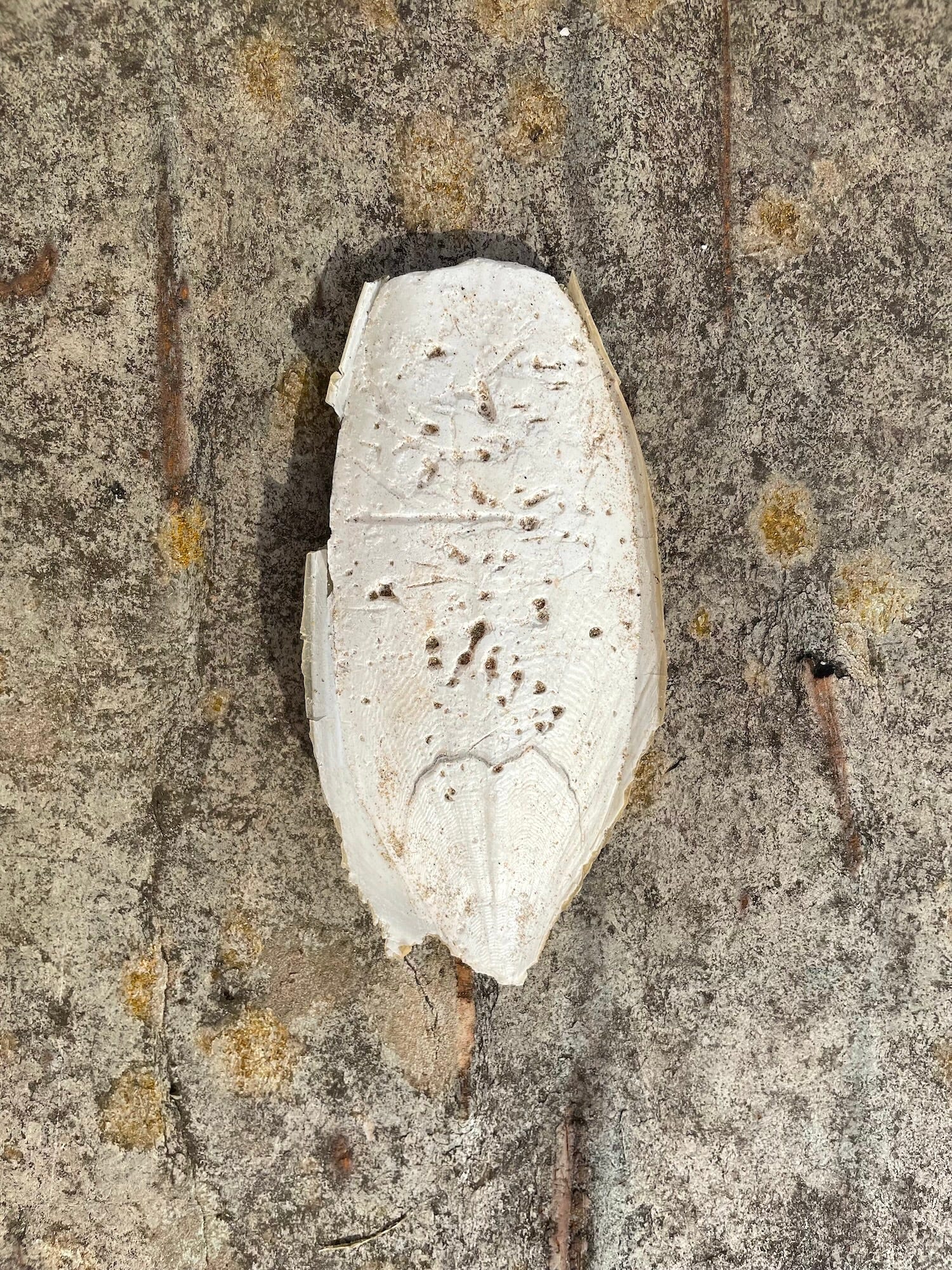 "After that which made it has passed by": Marks, Drawing, and the ...