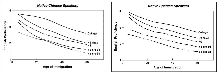 Critical Periods For Language: Much More Than You Wanted To Know