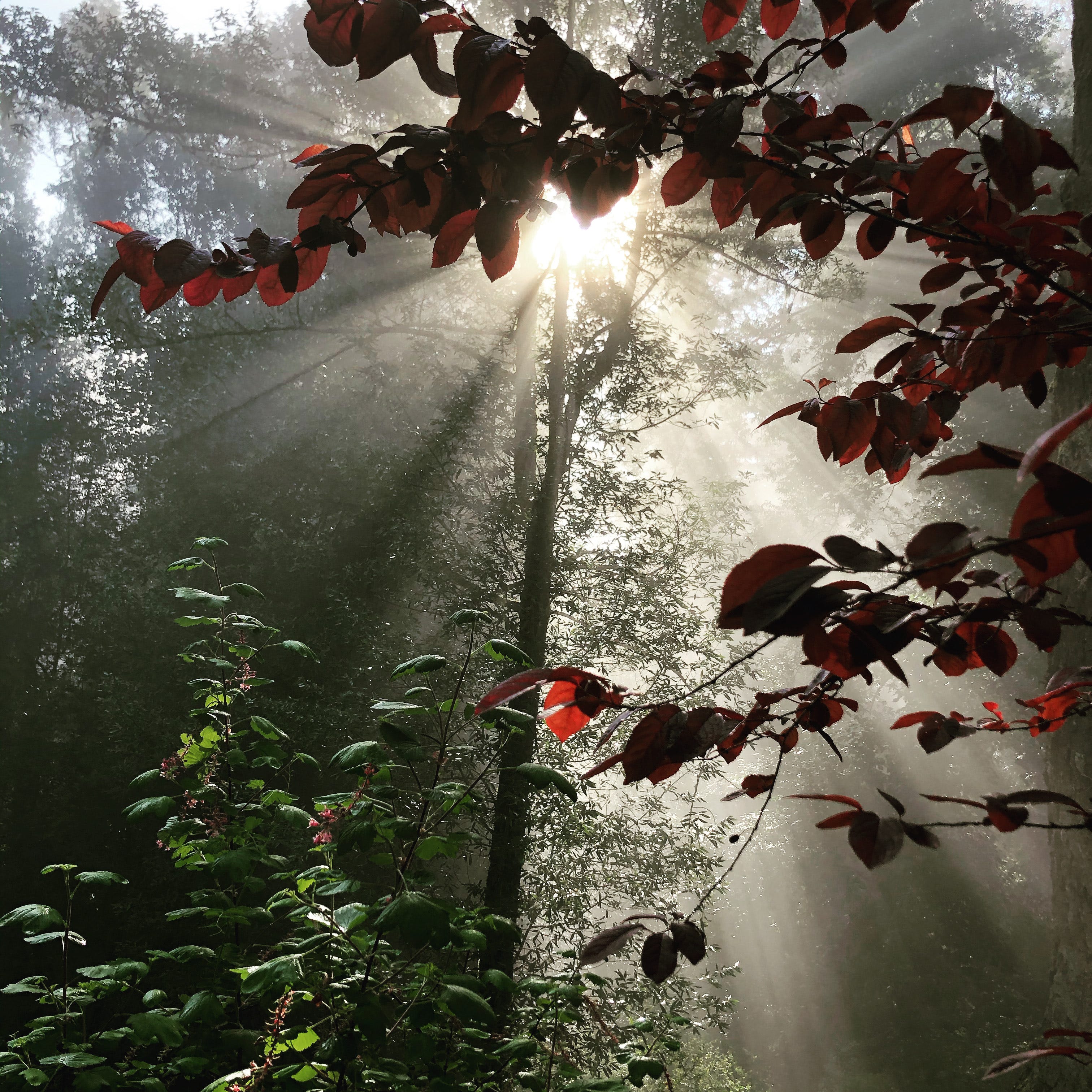 Consciousness & Creativity-> Writing As a Path to Awakening: Writing ...