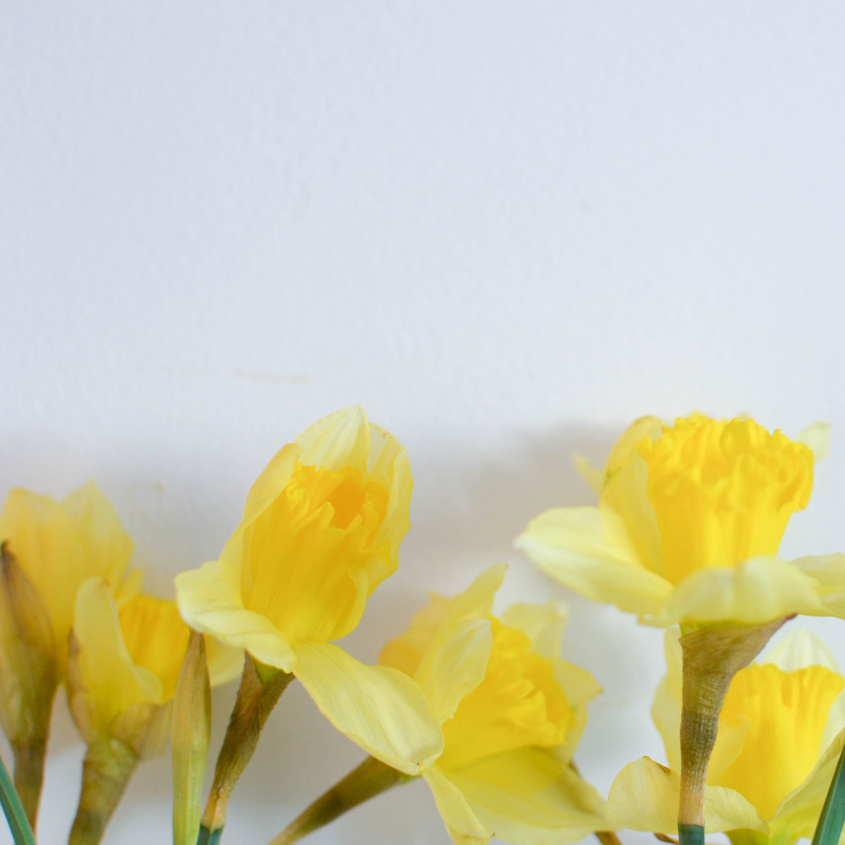 Presence, Sabbath & Daffodils - by Debbie Horrocks