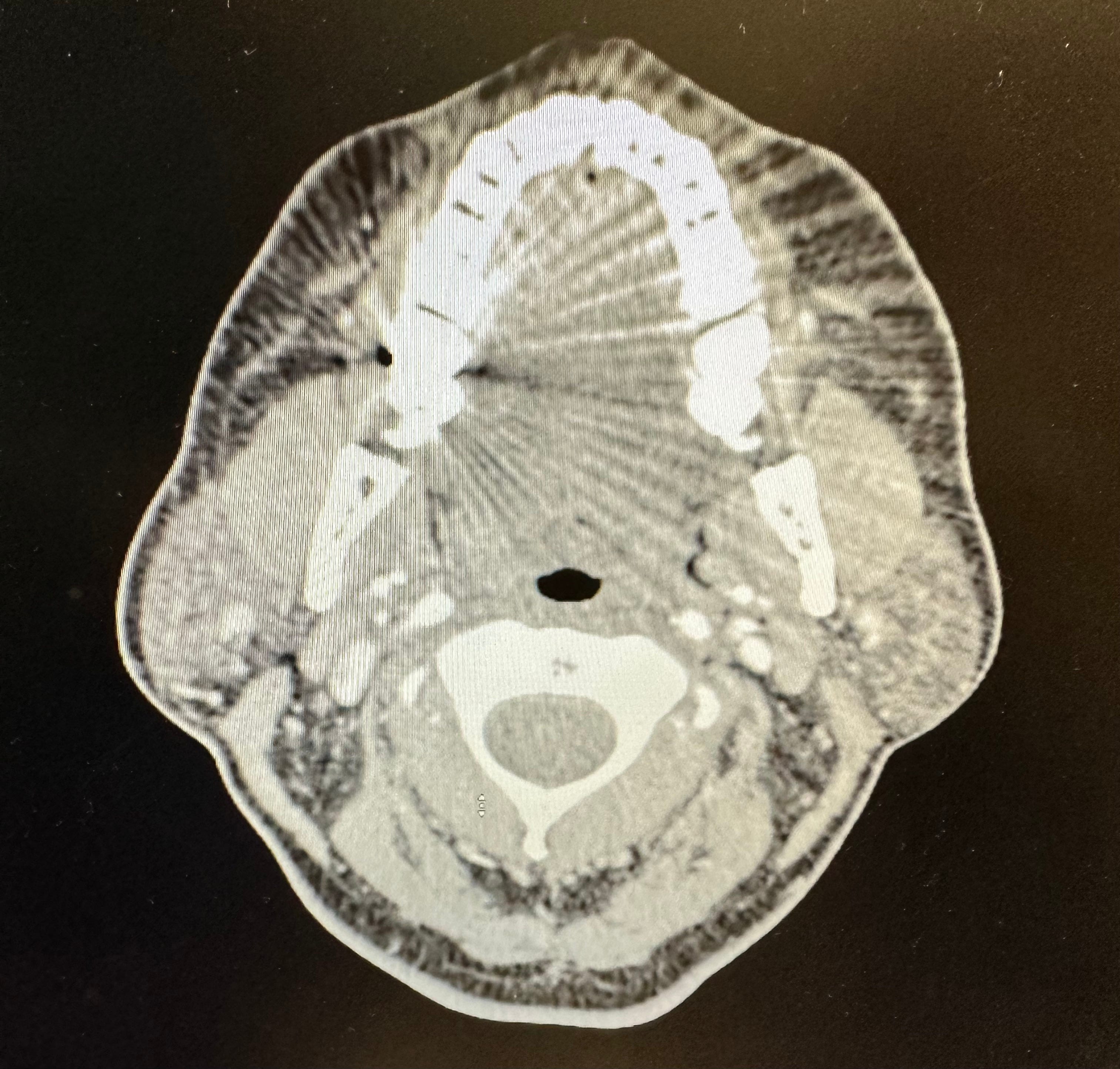 A Guide for Mental Self Care - by Maria Rodale