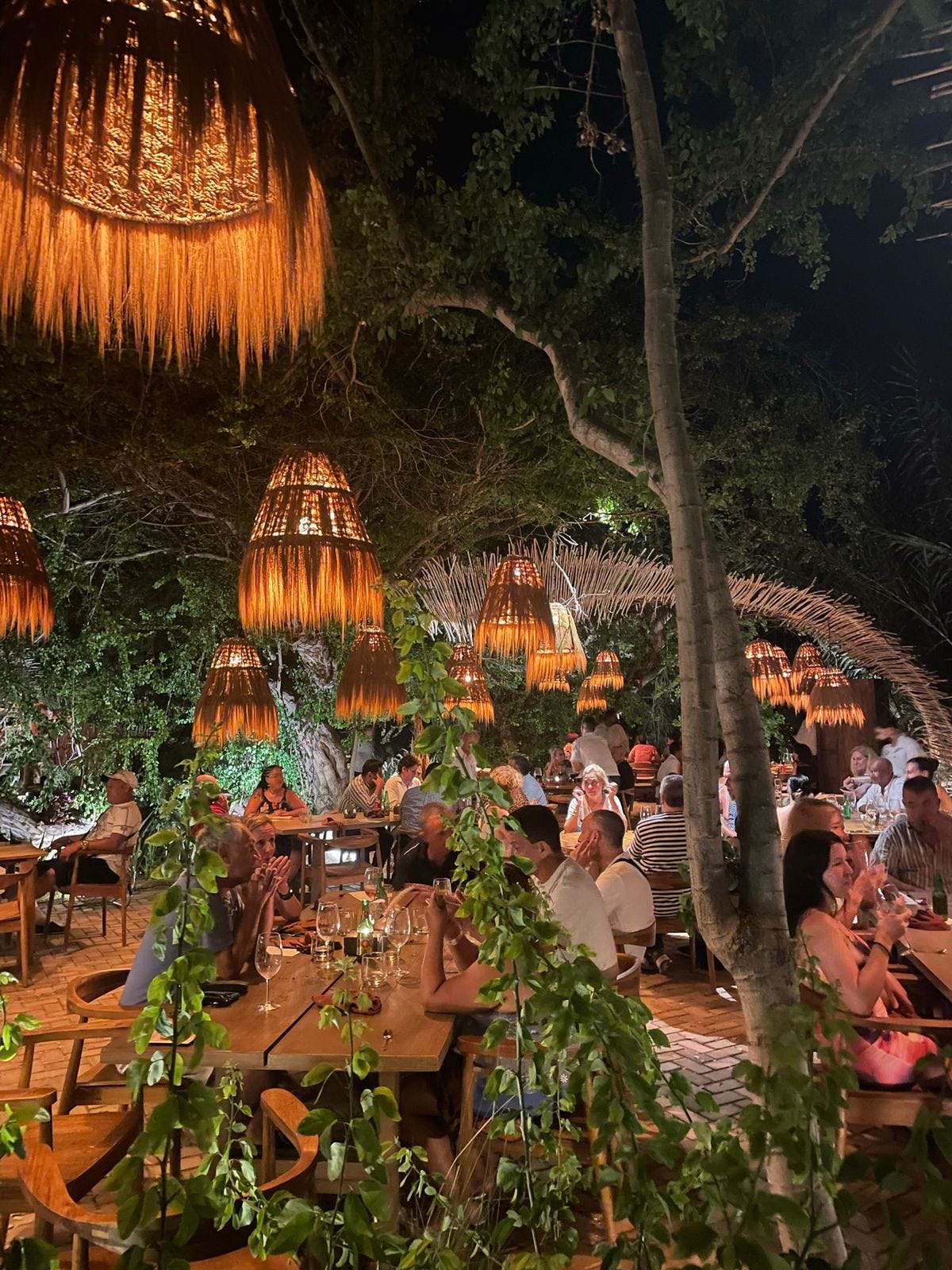 Baja Buzz - by Mike Gallagher and Jim Cormie