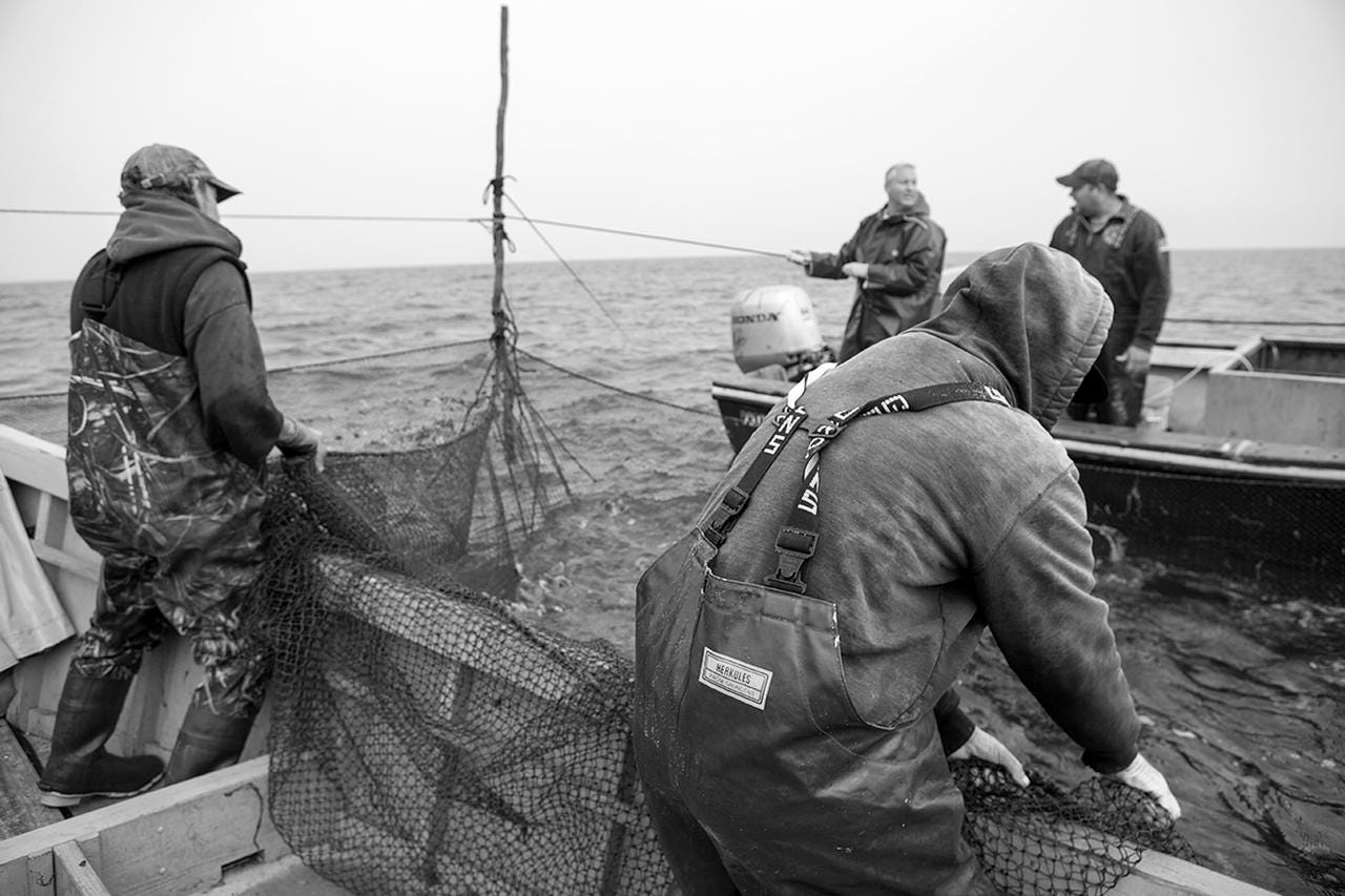 The Last Fishermen of Long Island