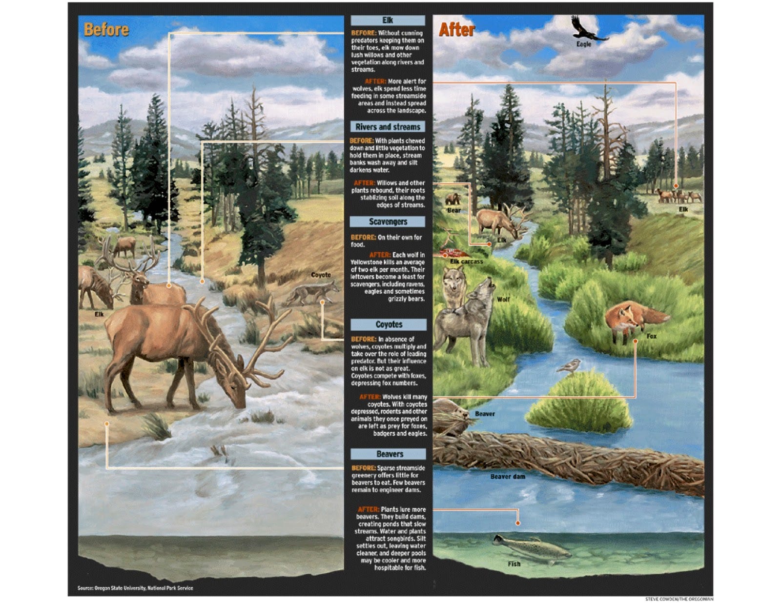 How American Gray Wolves and Integrated Pest Management Explain a New ...
